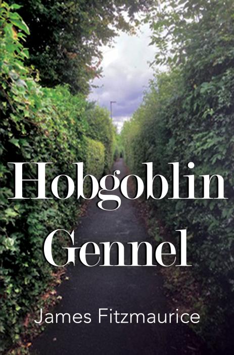Hobgoblin Gennel – A Young Adult Fantasy Novel | jfitzmaurice